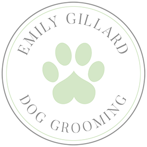 Full Groom - Long-Haired Breeds – Emily Gillard Dog Grooming